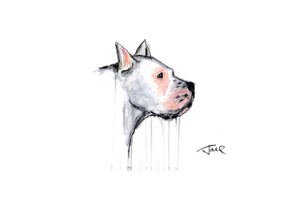 Gallery one – Jane Lang Art